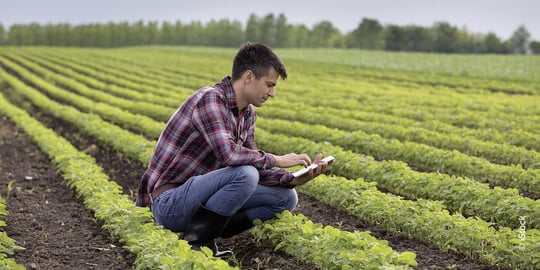 Blog - Maillefer (5)